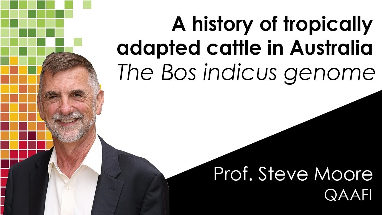 A career well-remembered - Livestock Gentec